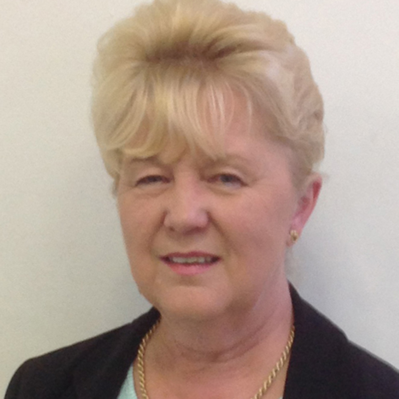 The Grand Union Multi Academy Trust - Members and Trustees